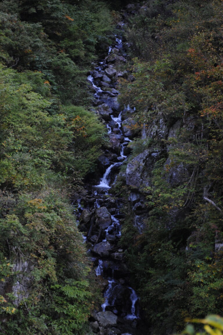 【Nikon D700＋AF NIKKOR 28-85mm f3.5-4.5】登山で紅葉を撮る｜作例10枚 ...