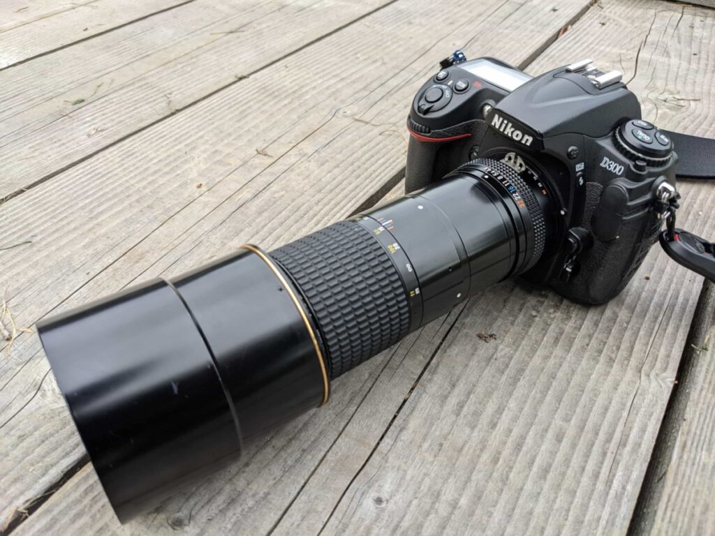 【Nikon D300＋AI NIKKOR ED 300mm f4.5S】福島潟でカワセミとかを撮ってみた – matsukenblog
